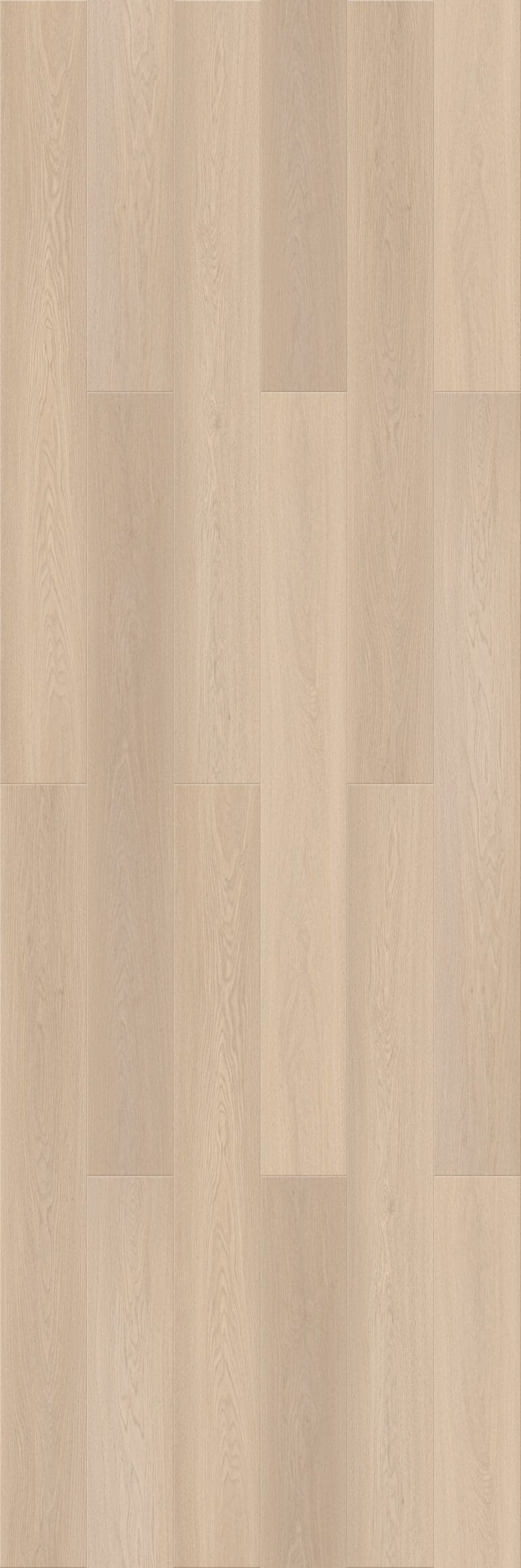 Product - Pale White Oak AC4 Trident Laminate Flooring